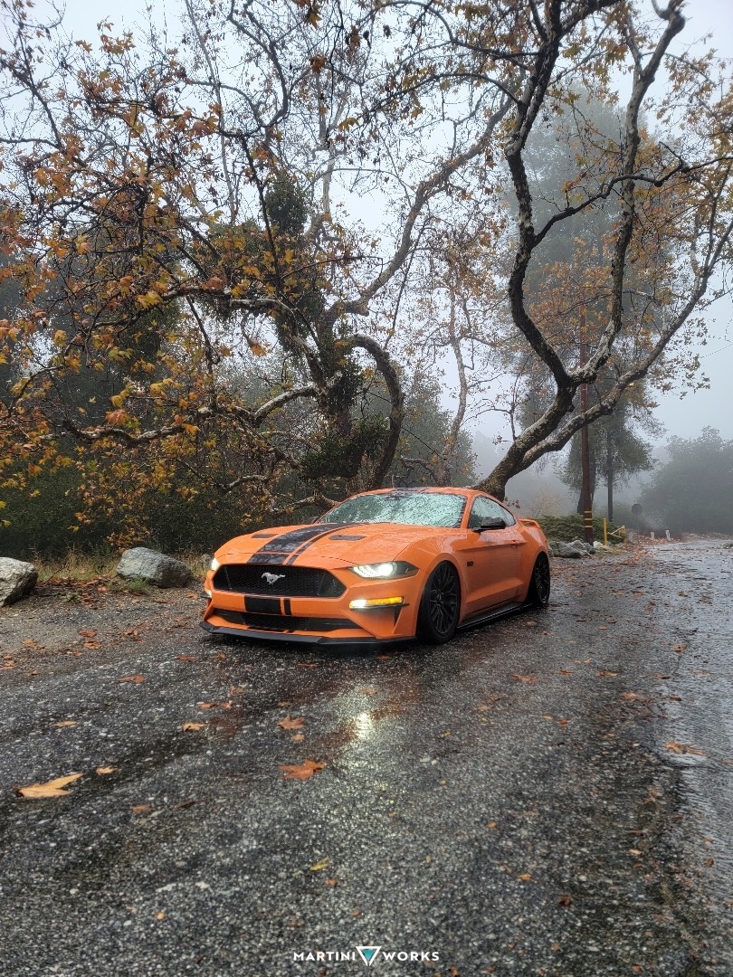 2021 Ford Mustang | on Rays Volk Racing TE37 Ultra MK2 Wheels | Build ...